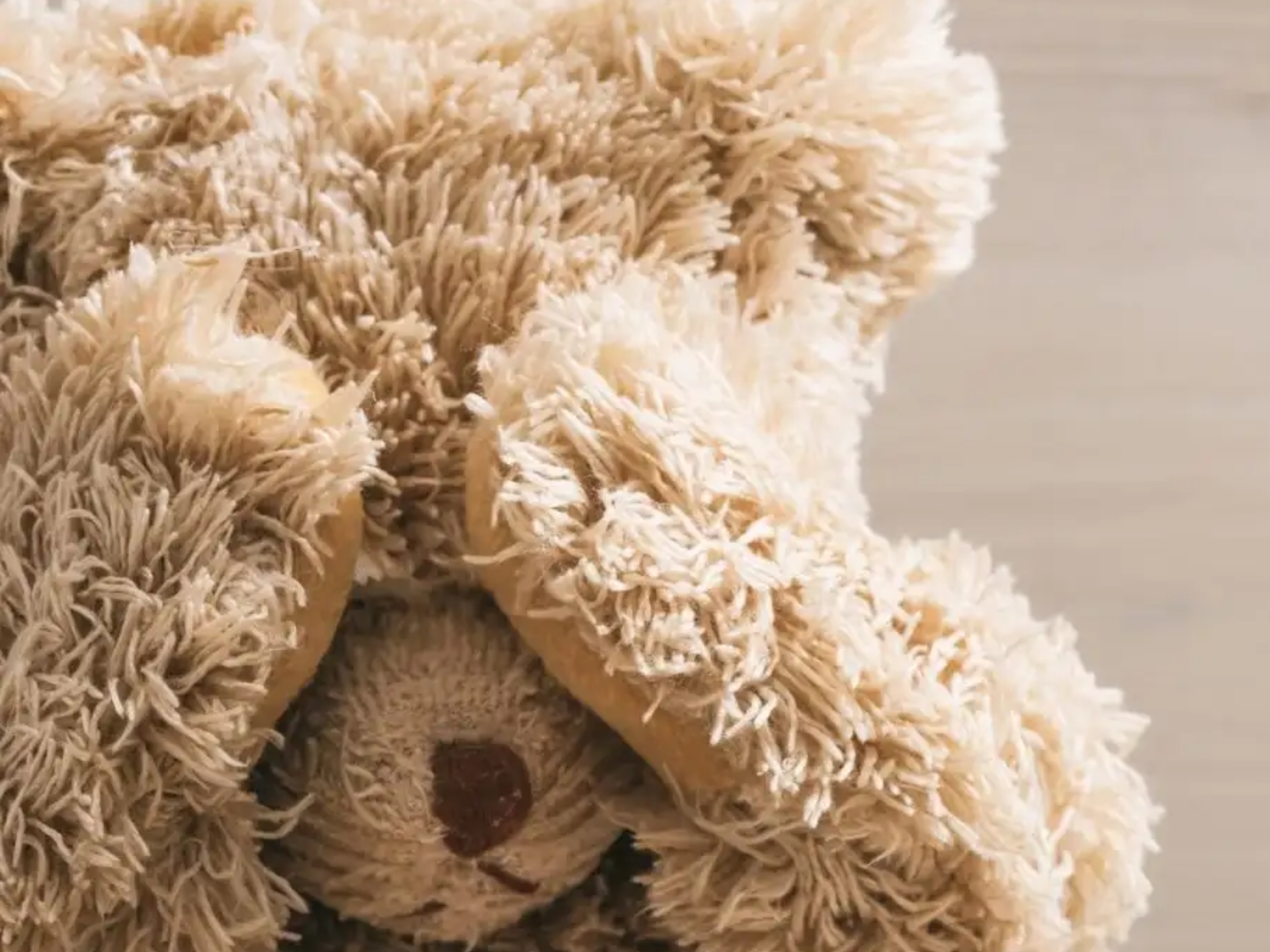 Safe, Seen, Supported | Phoenix Support For Educators